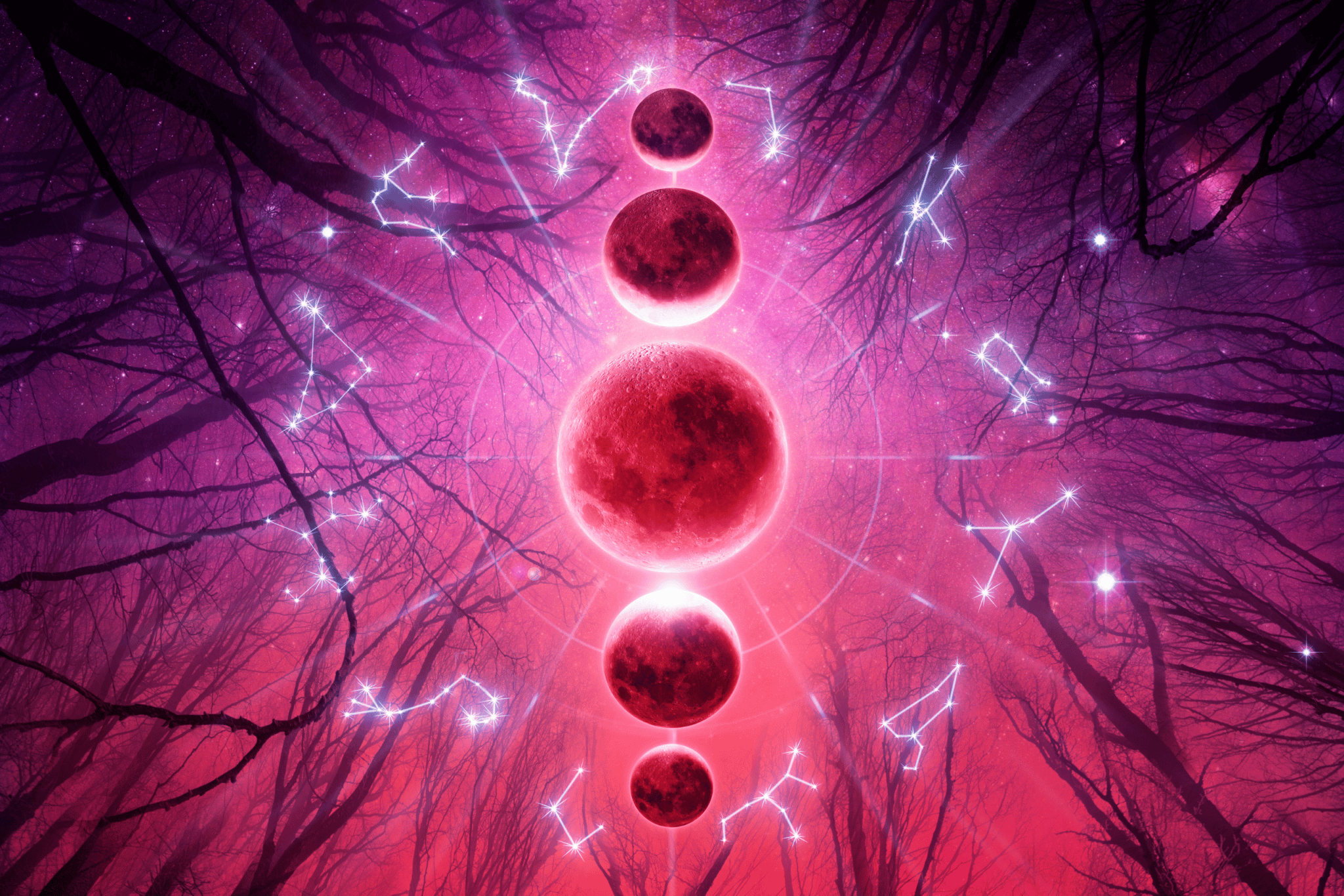 A Influência da Lua nas Casas Astrológicas - Evoluna